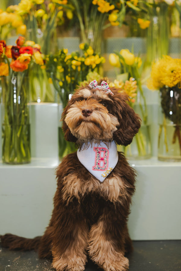 Lunaa is a lifestyle brand that is designed for you and your pup.