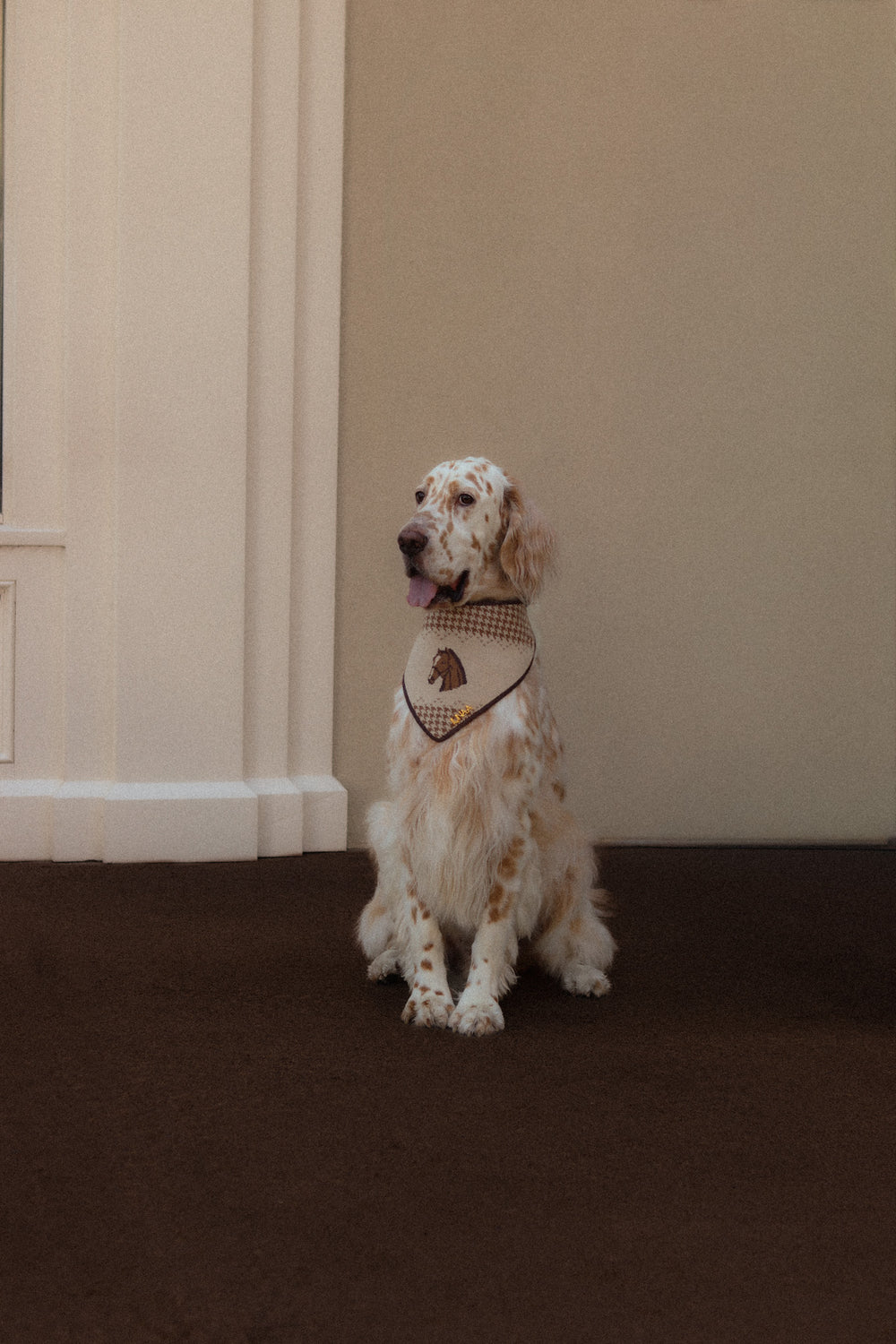 Lunaa is a lifestyle brand that is designed for you and your pup.
